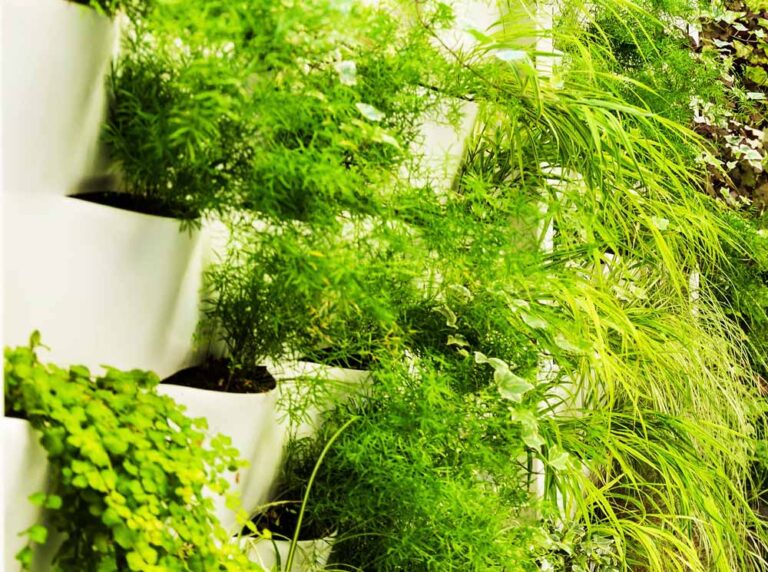 Orto verticale - sistema brevettato - Marinelli System